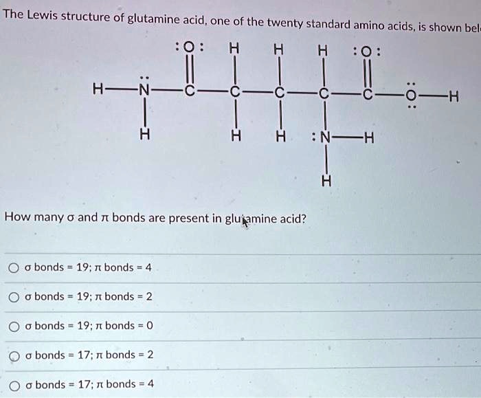 SOLVED: The Lewis structure of glutamic acid, one of the twenty ...