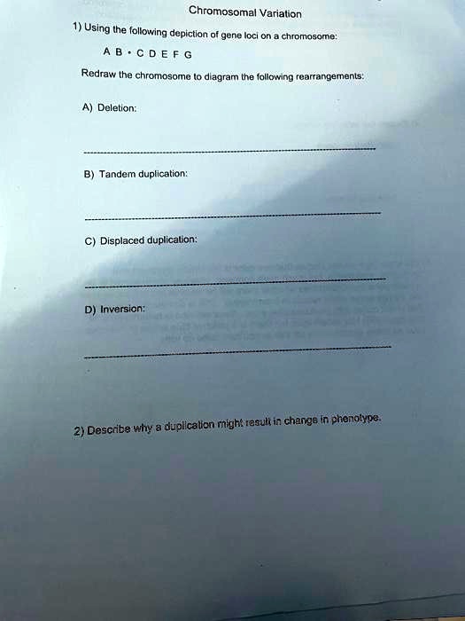 Chromosomal Variation 1) Using the following depiction of gene loci on ...