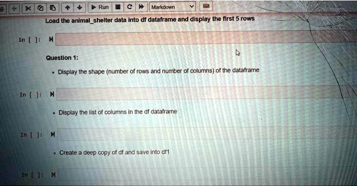 SOLVED: Run A Markdown Load the animal shelter data into df dataframe and display the first 5 ...