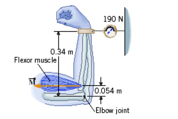 A person exerts a horizontal force of 190 N in the test apparatus shown ...