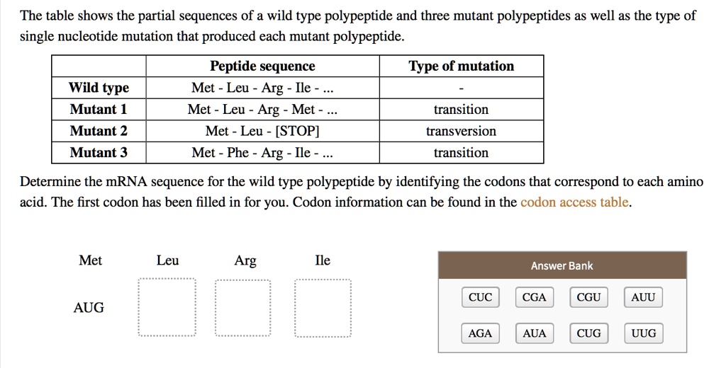 SOLVED: The table shows the partial sequences of a wild type polypeptide and three mutant ...