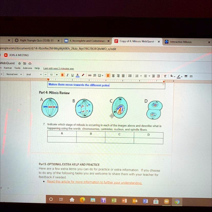 SOLVED: '7. Indicate which stage of mitosis is occurring in each of the images above and ...
