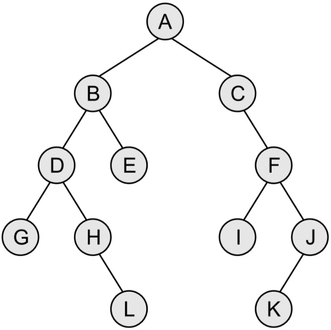 SOLVED: Write a C program to read a binary tree from the user and ...