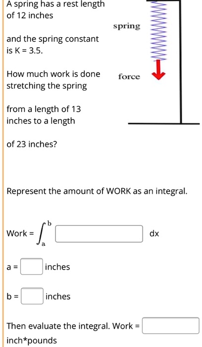 SOLVED: A spring has a rest length of 12 inches spring and the spring ...