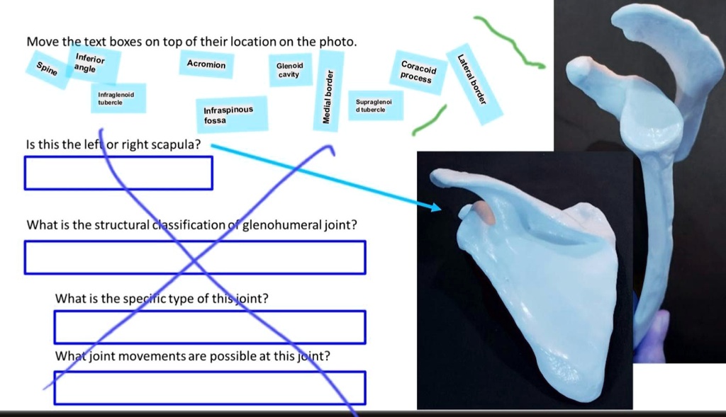 Move the text boxes on top of their location on the photo. Spine ...