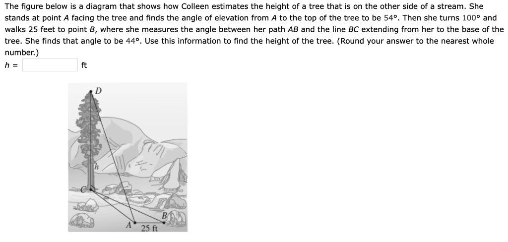the figure below is a diagram that shows how colleen estimates the ...