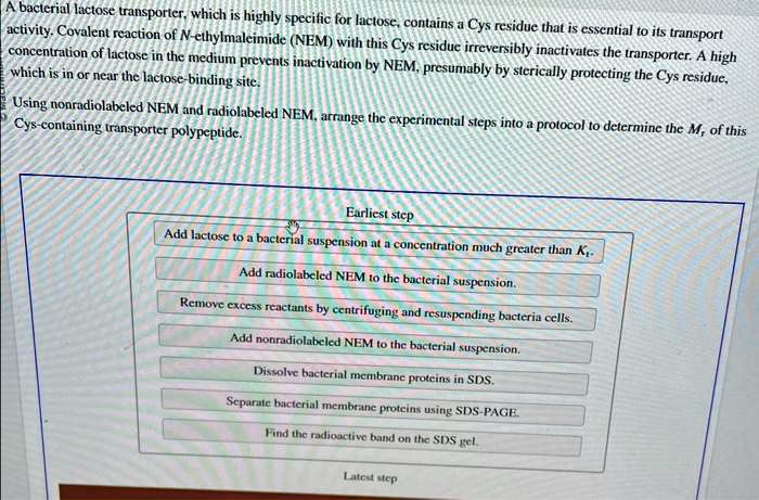 SOLVED: A bacterial lactose transporter, which is highly specific for ...