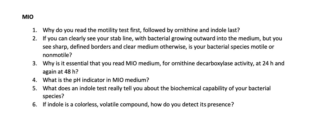 SOLVED: MIO Why do you read the motility test first; followed by ...