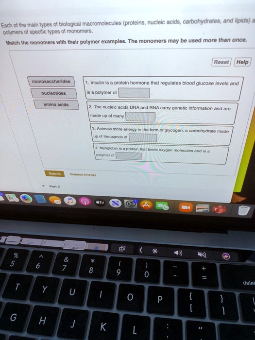 each 0l the main types biological macromolecules proteins nucleic acids ...