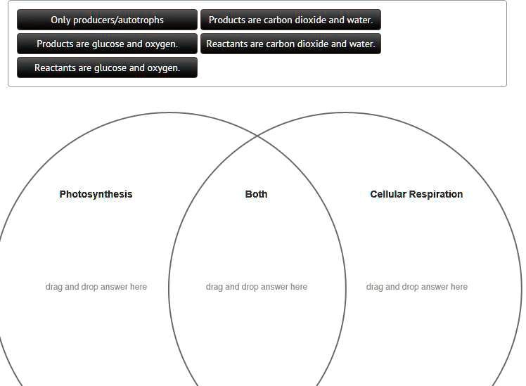 SOLVED: Can someone help me with this science diagram? Only producers ...