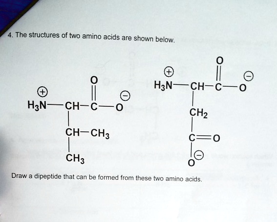 4. The structures of two amino acids are shown below. + ^+ OO^- H3N-CH ...