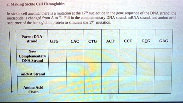 2 making sickle cell hemoglobin in sickle cell anemia there is mulation ...