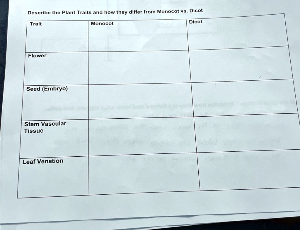 Describe the Plant Traits and how they differ from Monocot vs. Dicot ...