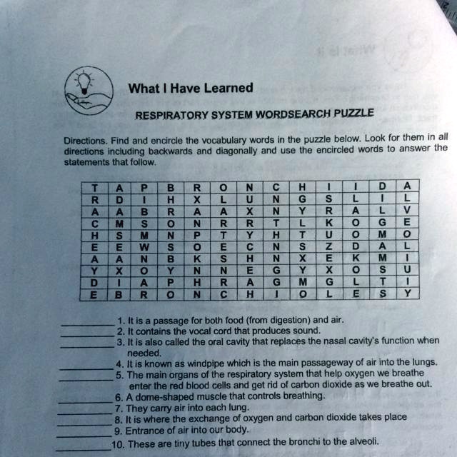 SOLVED: "Need Help in this Puzzel What Have Learned RESPIRATORY SYSTEM ...