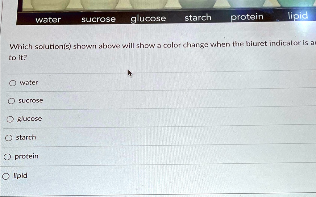 water glucose sucrose starch protein lipid Which solution(s) shown ...