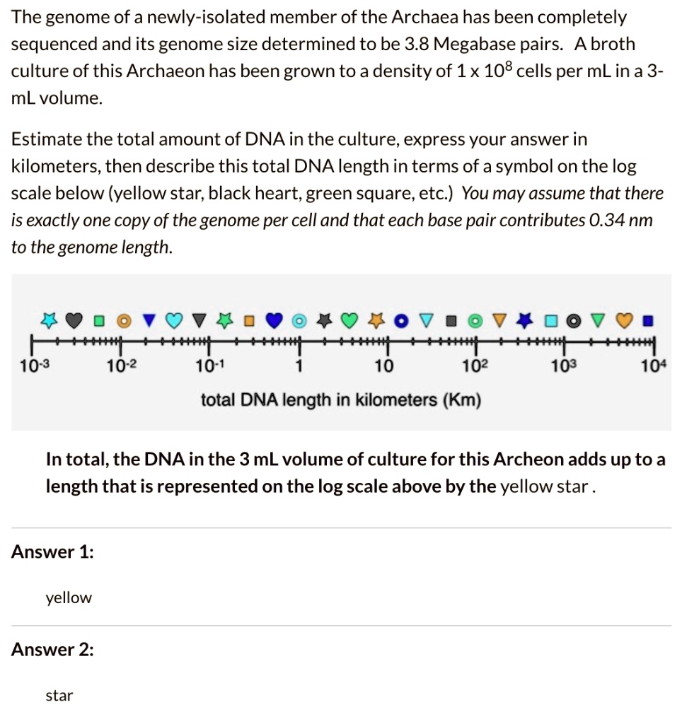 SOLVED: The genome of a newly-isolated member of the Archaea has been ...