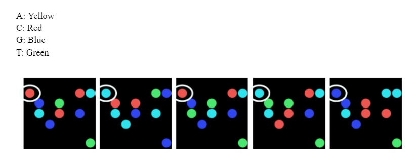 the below figure illustrates five cycles of illumina sequencing where ...