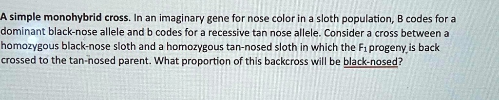 SOLVED: A simple monohybrid cross. In an imaginary gene for nose color ...