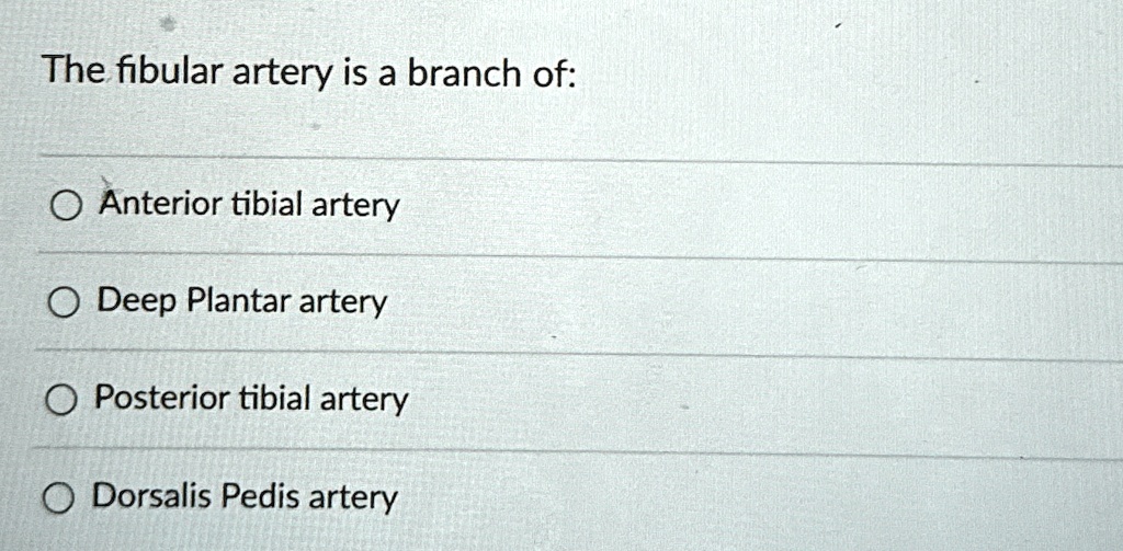 The fibular artery is a branch of: Anterior tibial artery Deep Plantar ...