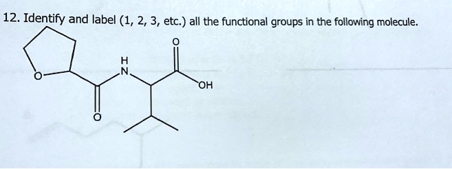 SOLVED: 12. Identify and label (1, 2, 3, etc ) all the functional ...