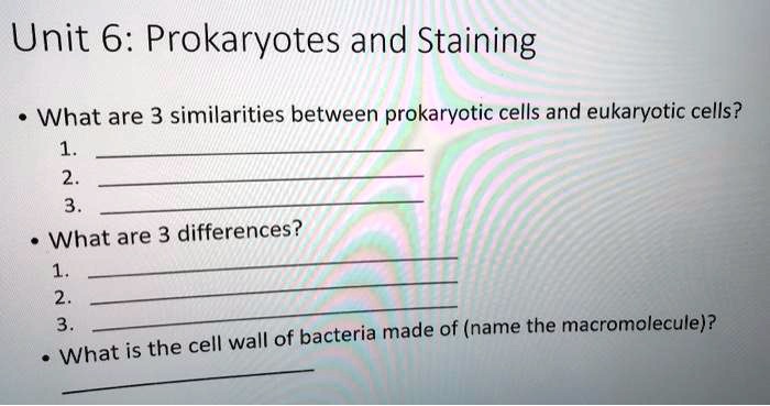 SOLVED: Unit 6: Prokaryotes and Staining What are 3 similarities ...