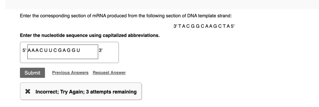 Enter the corresponding section of mRNA produced from the following ...