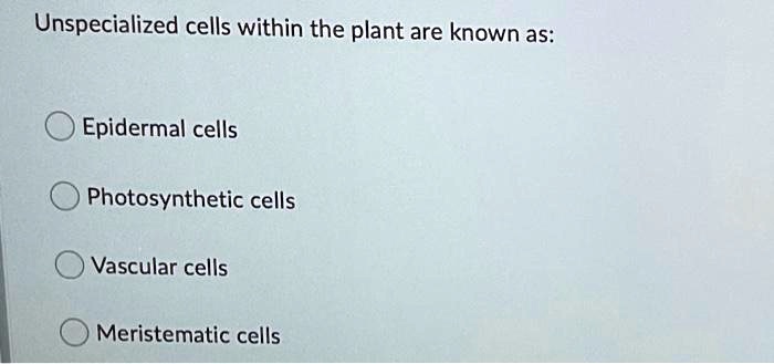 SOLVED: Unspecialized cells within the plant are known as: Epidermal ...