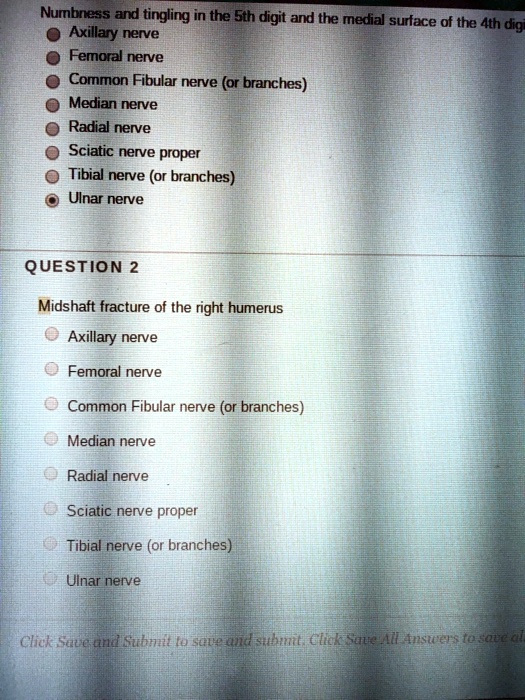 SOLVED: Numbness and tingling in the 5th digit and the medial surface ...