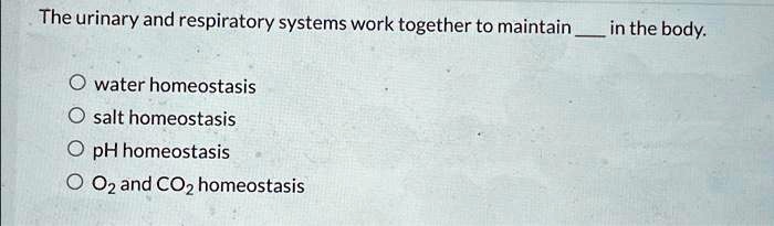 SOLVED: The urinary and respiratory systems work together to maintain ...