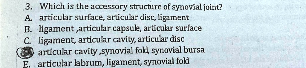 3. Which is the accessory structure of synovial joint? A. articular ...
