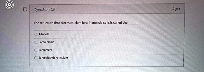 Question 19 The structure that stores calcium ions in muscle...