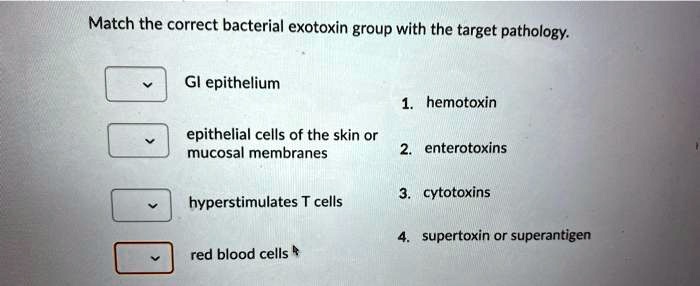 Match the correct bacterial exotoxin group with the target pathology ...