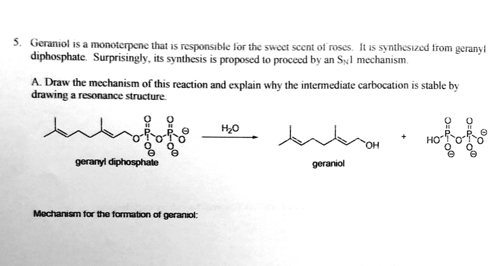 5. Geraniol is a monoterpene that is responsible for the sweet scent of ...