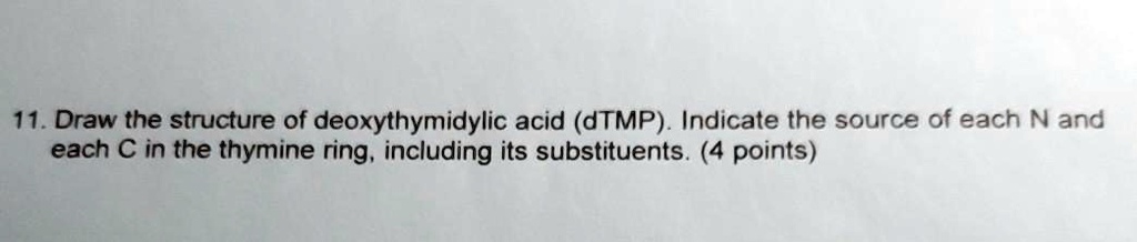 SOLVED:11. Draw the structure of deoxythymidylic acid (dTMP). Indicate ...