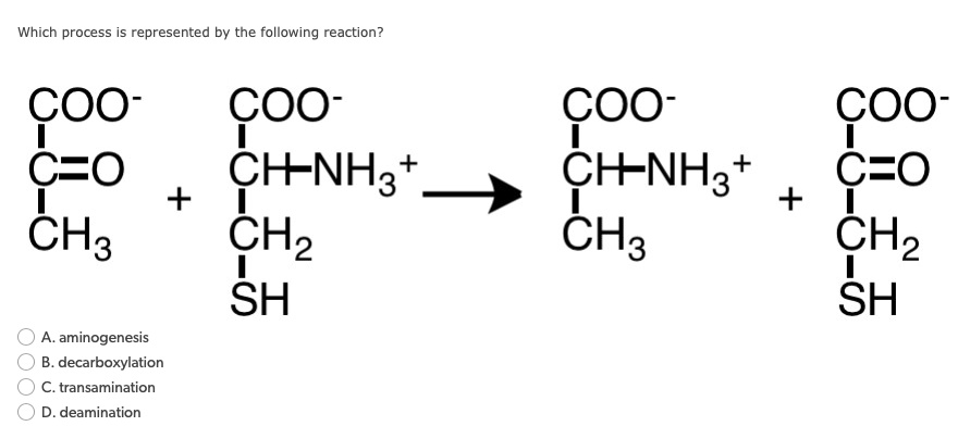 SOLVED: Which process is represented by the following reaction? COO COO- C=O CH-NH3 + CH3 CH2 SH ...