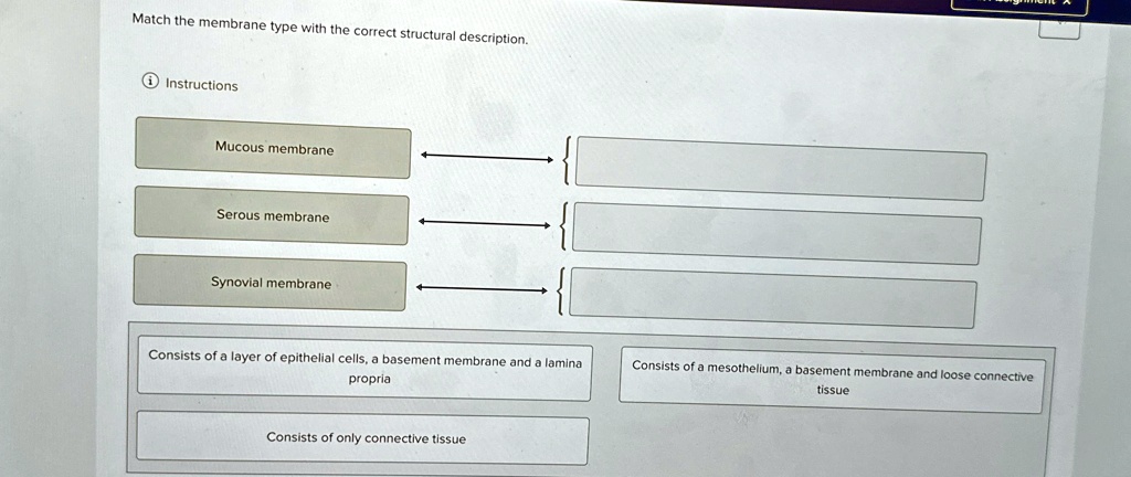 SOLVED: Match the membrane type with the correct structural description. Instructions Consists ...