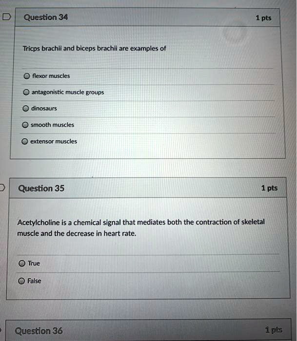 SOLVED: Question 34 Triceps brachii and biceps brachii are examples of flexor muscles ...