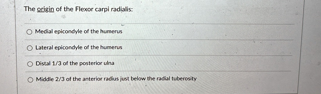 the origin of the flexor carpi radialis medial epicondyle of the ...