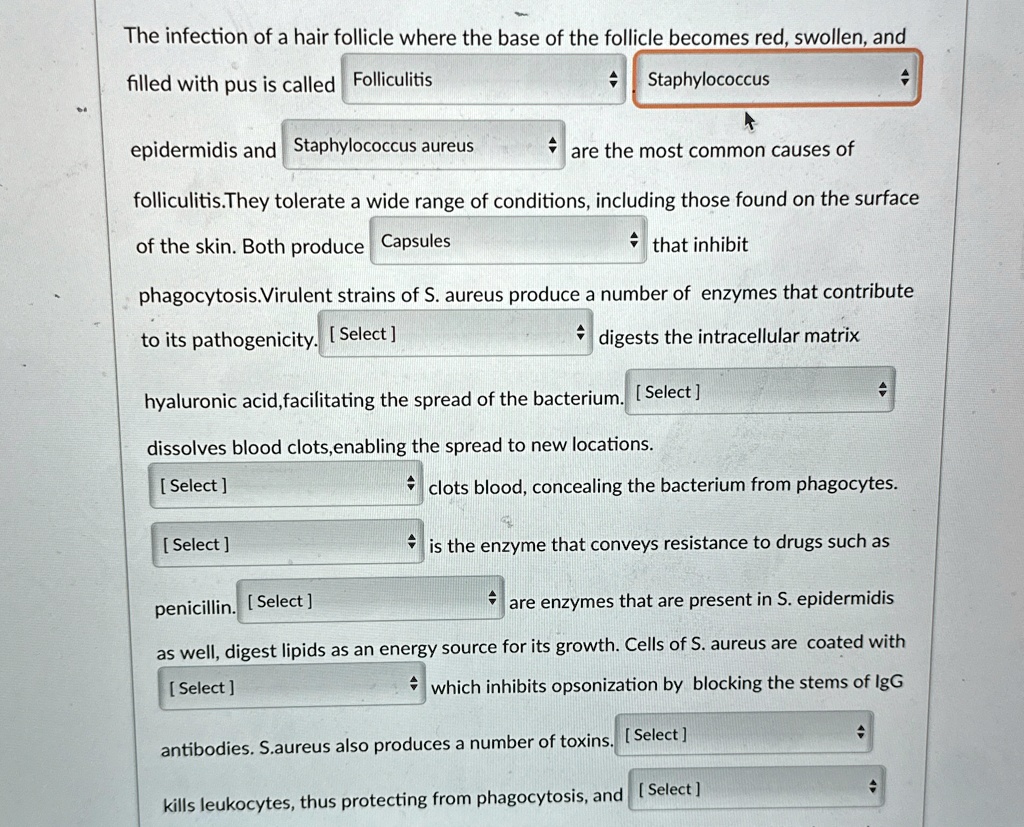 The infection of a hair follicle where the base of the follicle becomes ...