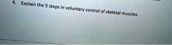 SOLVED: Explain the 5 steps in voluntary 'control of skeletal ! muscles