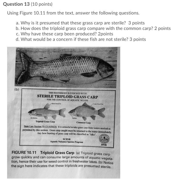 SOLVED:Question 13 (10 points) Using Figure 10.11 from the text; answer ... SOLVED:Question 13 (10 points) Using Figure 10.11 from the text; answer ...