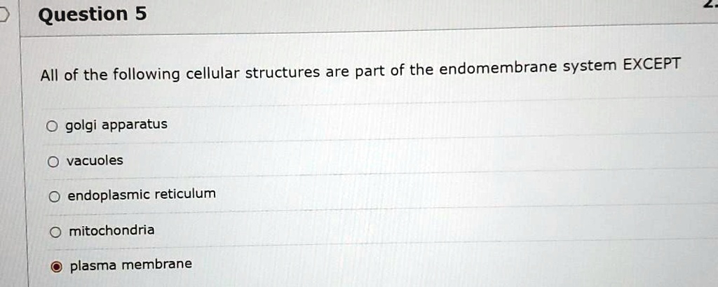 SOLVED: Question 5 All of the following cellular structures are part of the endomembrane system ...