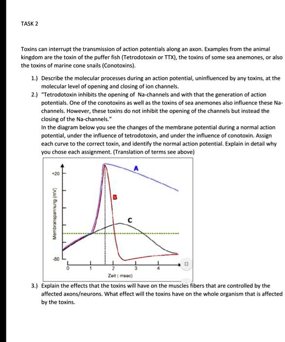 task 2 toxins can interrupt the transmission of action potentials along ...