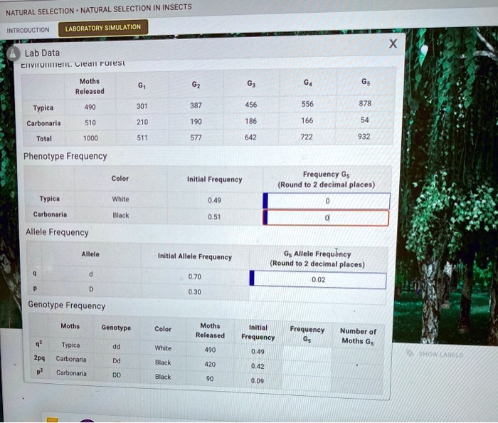 SOLVED:NATURAL SELECTION NATURAL SELECTION IN INSECTS introductION ...
