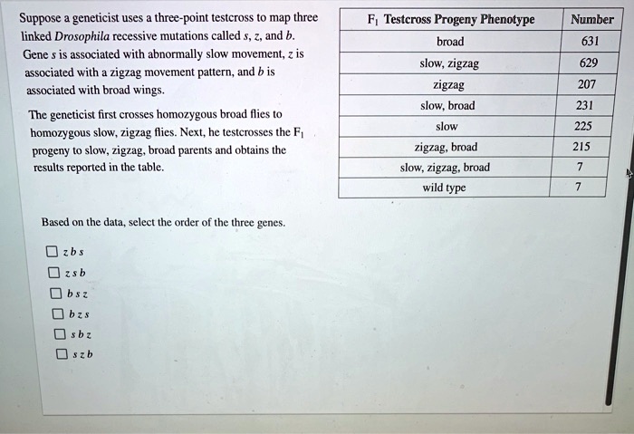 Solved Suppose A Geneticist Uses Three Point Tesicrose Map Three Linked Drosophila Recessive