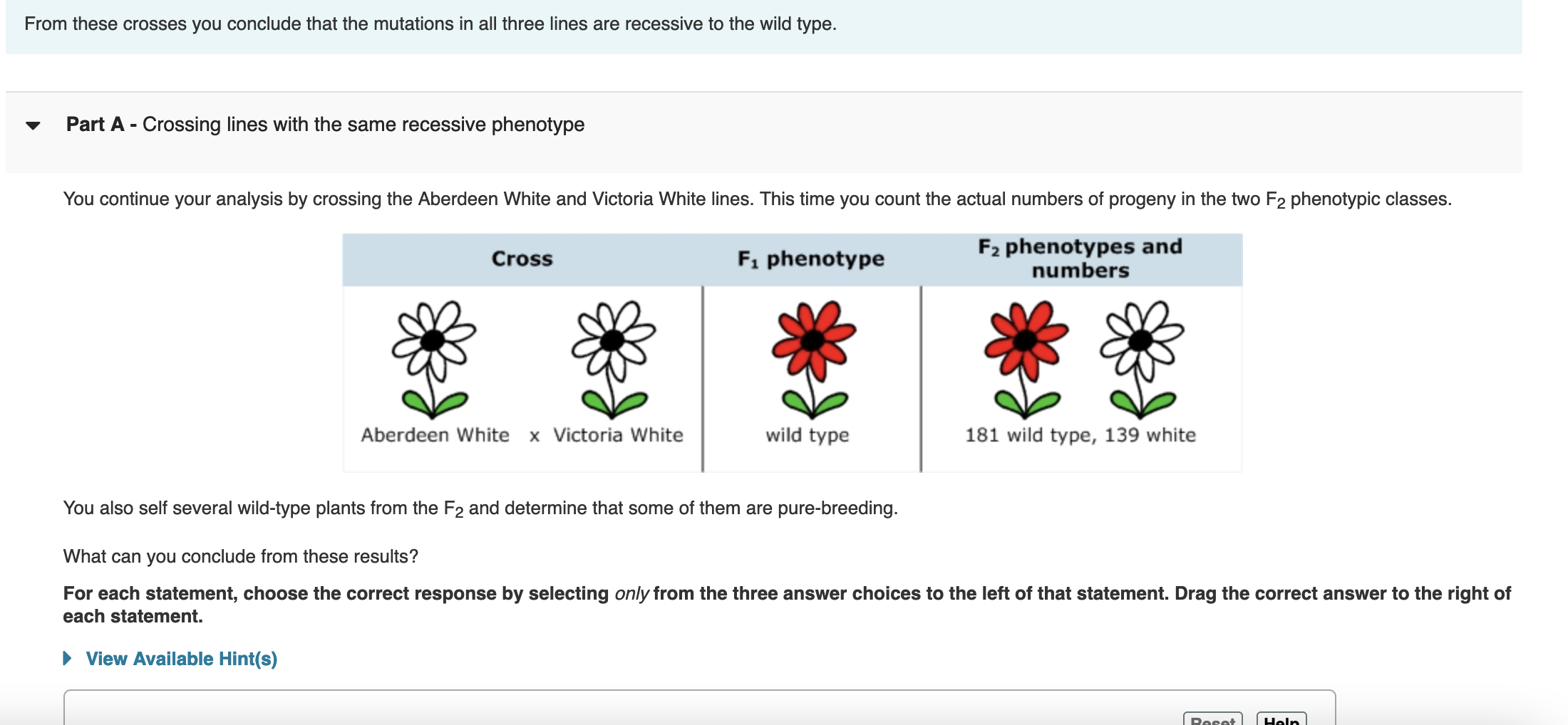 Solved From These Crosses You Conclude That The Mutations In All Three Lines Are Recessive To