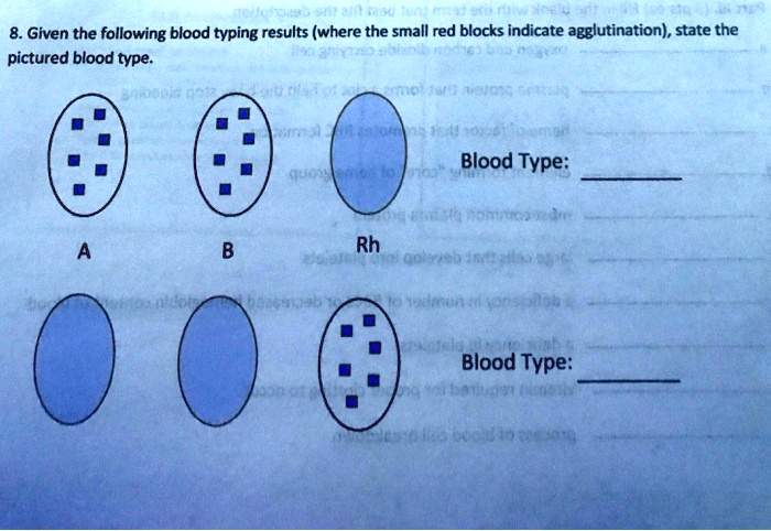 8. Given the following blood typing results (where the small red blocks ...