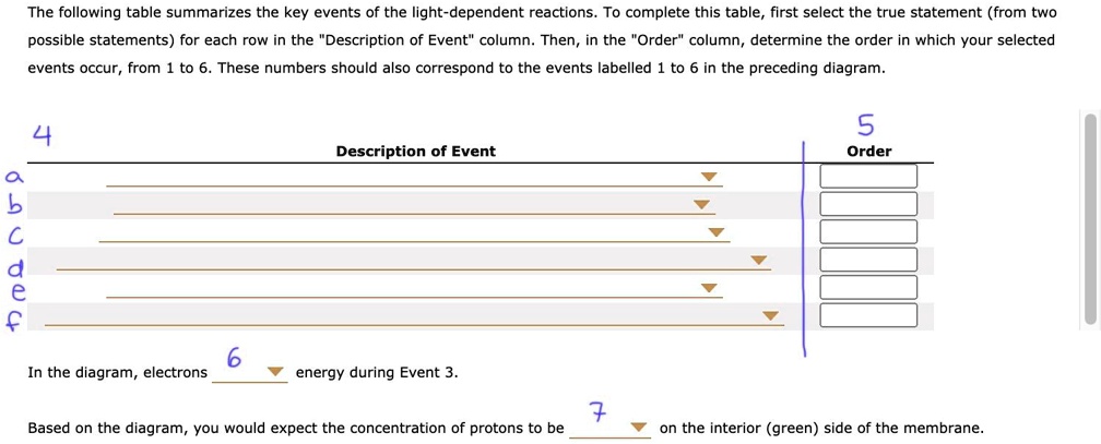 the following table summarizes the key events of the light dependent ...