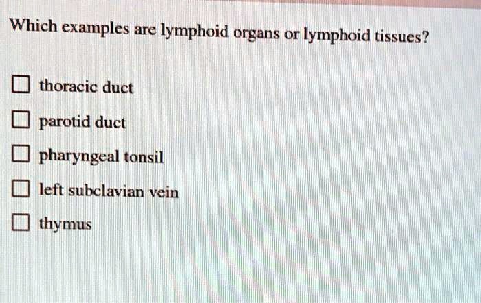SOLVED: Which examples are lymphoid organs or lymphoid tissues ...