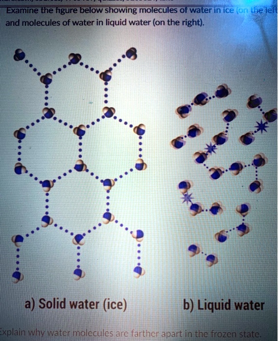 SOLVED: Please examine the figure below showing molecules of water in ...